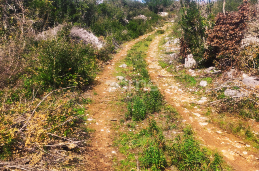 Land for sale in Ansiao, Portugal No. 86055 | Global Properties