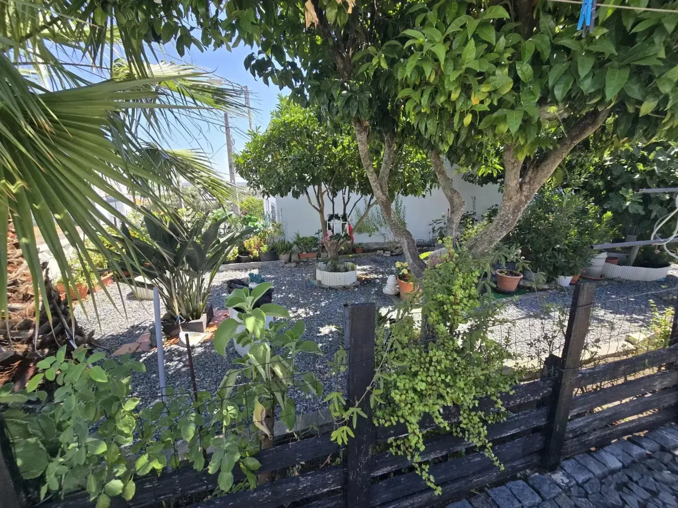 4 bedrooms House for sale in Beja, Portugal No. 239725 | Global Properties